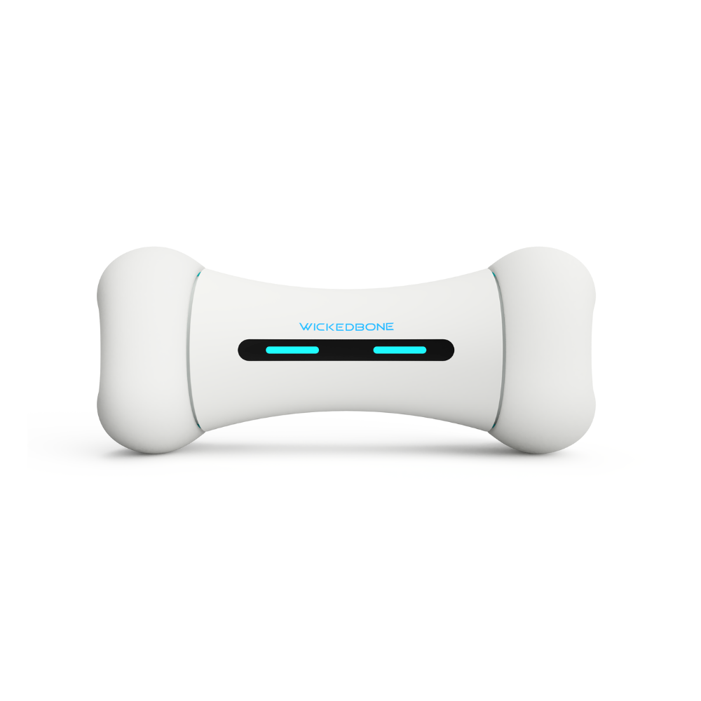 Wicked Bone - Juguete Inteligente Perros – Hundshop