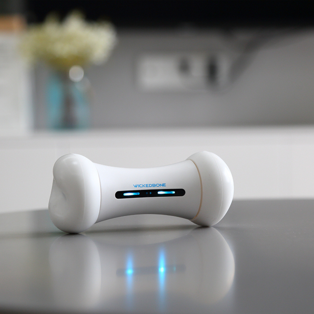 Wicked Bone - Juguete Inteligente Perros – Hundshop